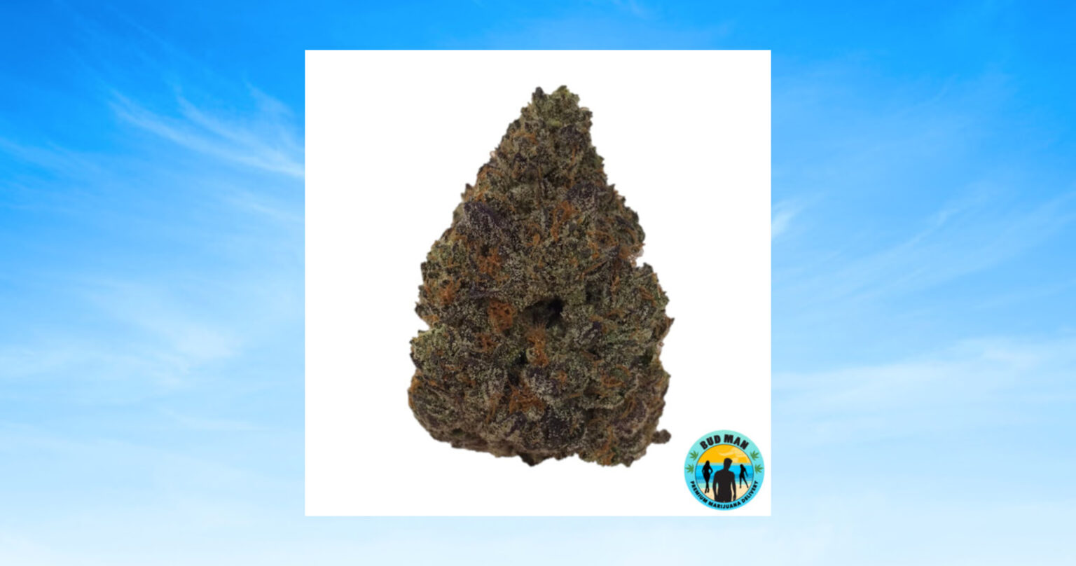 Scooby-Dooby-Doo This Strain! | Bud Man Orange County Dispensary